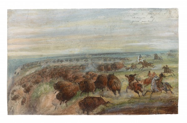 Driving Herds of Buffalo over a Precipice - Fur Traders and Rendezvous ...